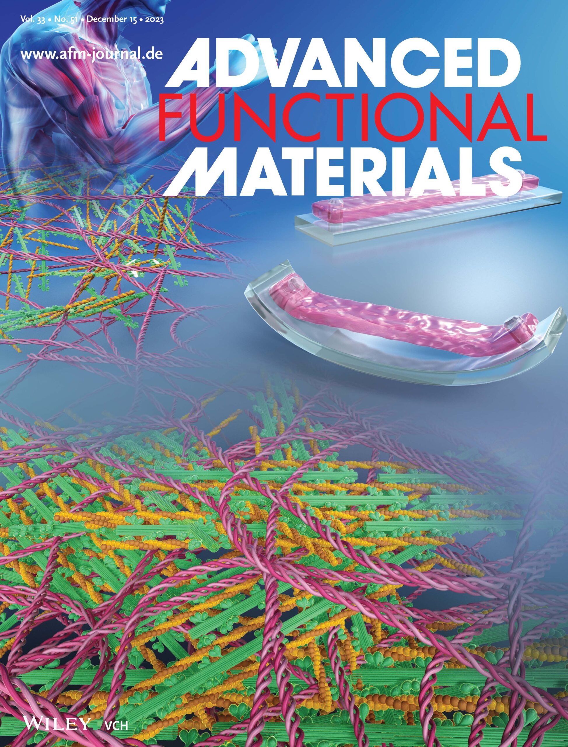 Publications | Koki Yoshida Lab.